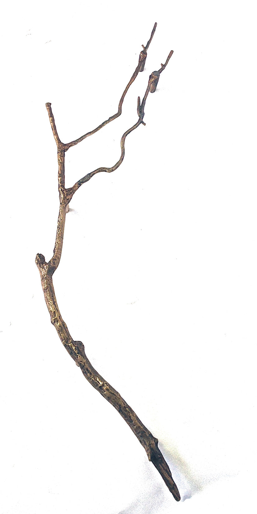 Branch – Philip Watts Design